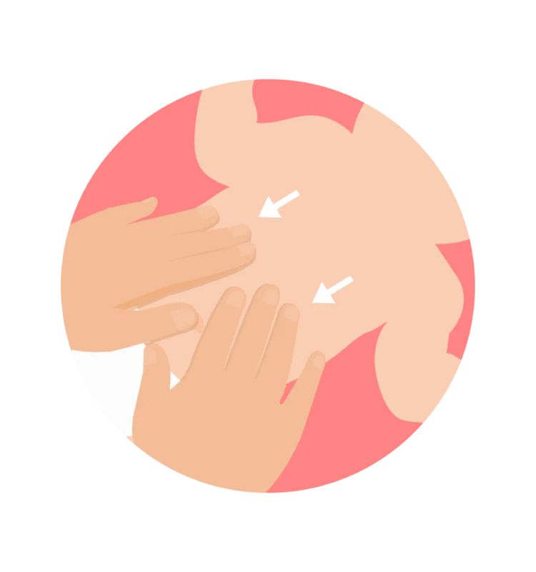 Windi Pupshilfe, 10er-Pack | Frida